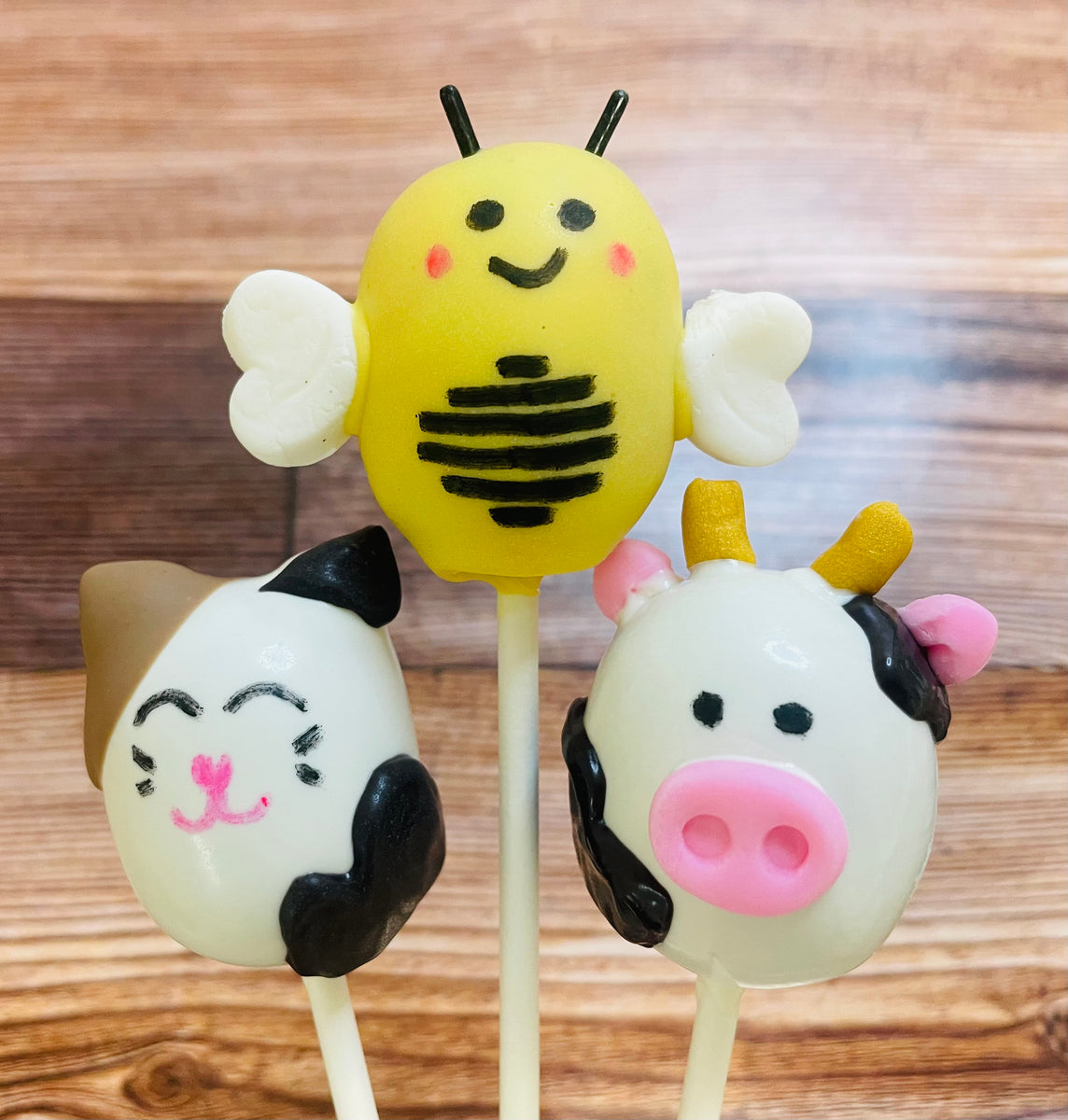 Character Cake Pops – Cake Ballerina